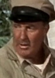 Imitation of Life (1959)